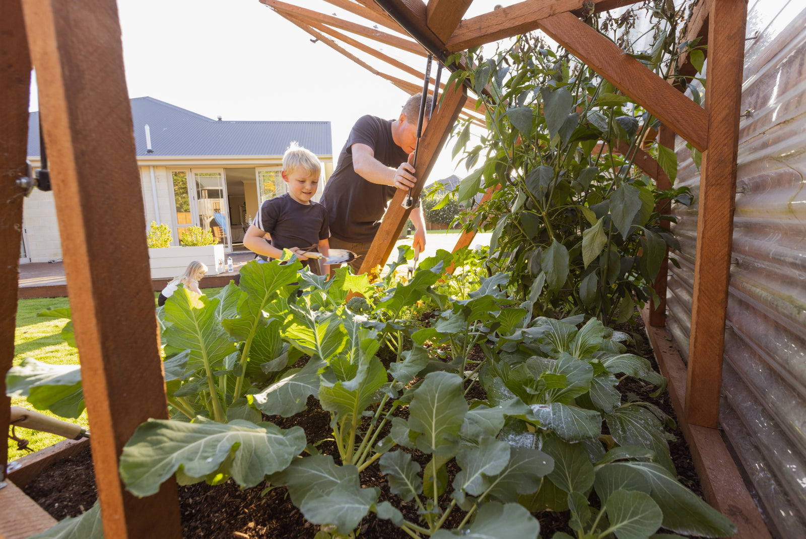 Large Garden with Canopy